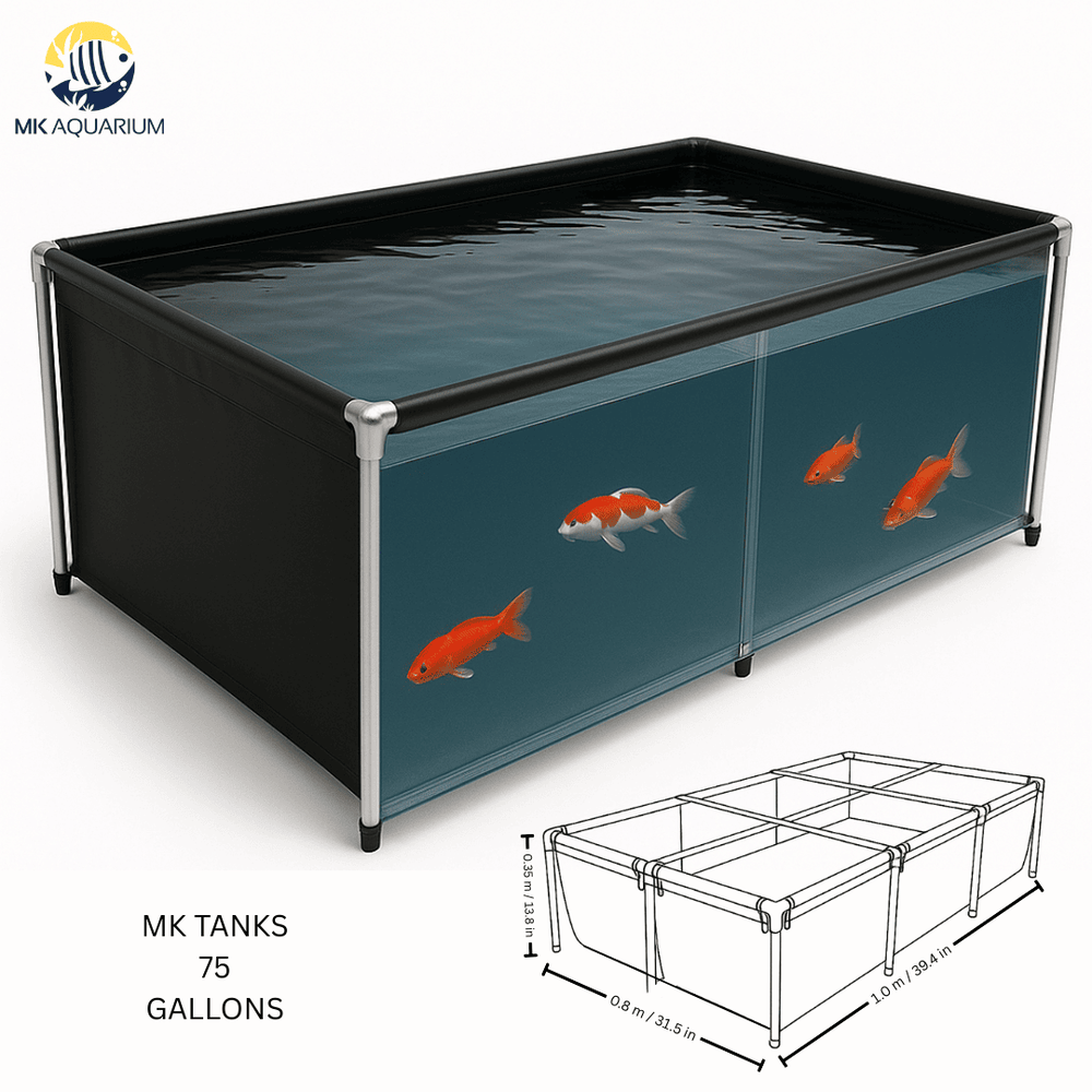 Collections – MK Aquarium Store