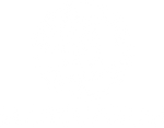 Collections – MK Aquarium Store