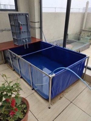 75-2000 Gallons Aquaculture Aquaponic Breeding Fish Farms Aquarium Pon ...